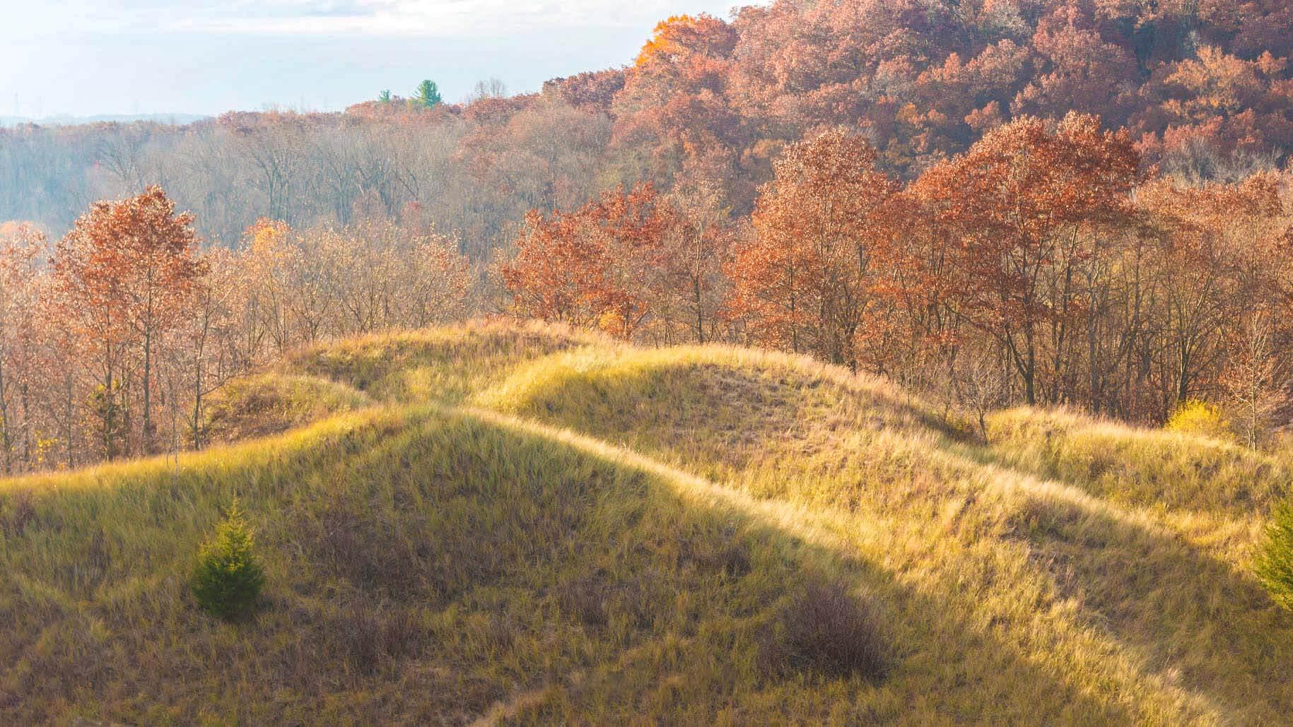 15 Fall Photography Tips from Nationally Renowned Photographer Joshua ...