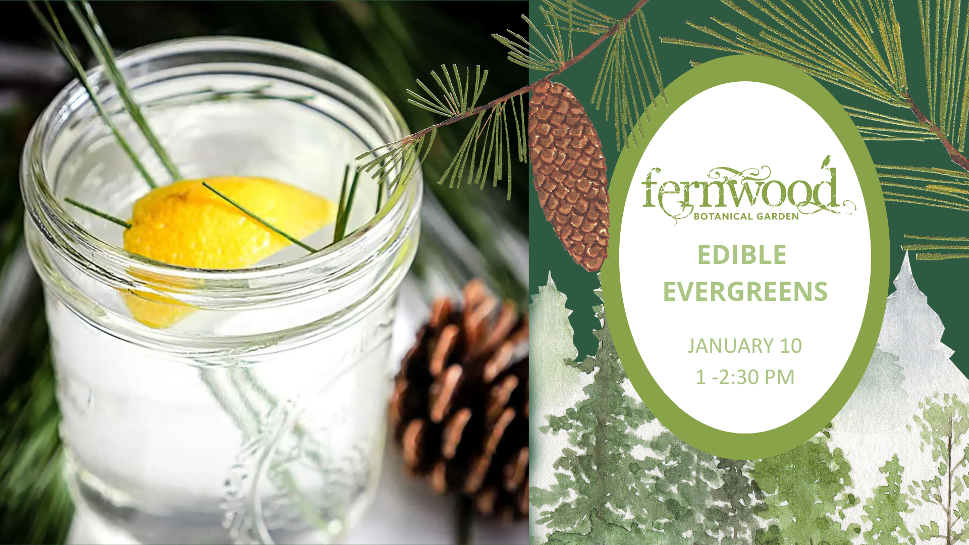 Edible Evergreens | Visit Southwest Michigan