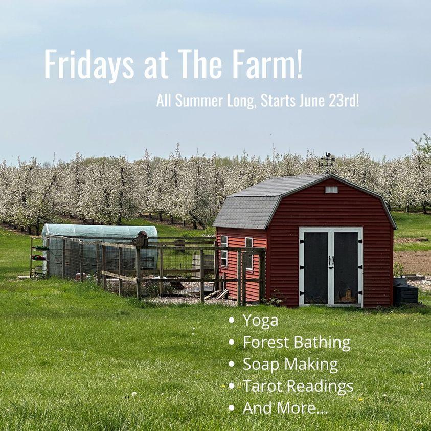 Eclectic Sanctuary | Visit Southwest Michigan