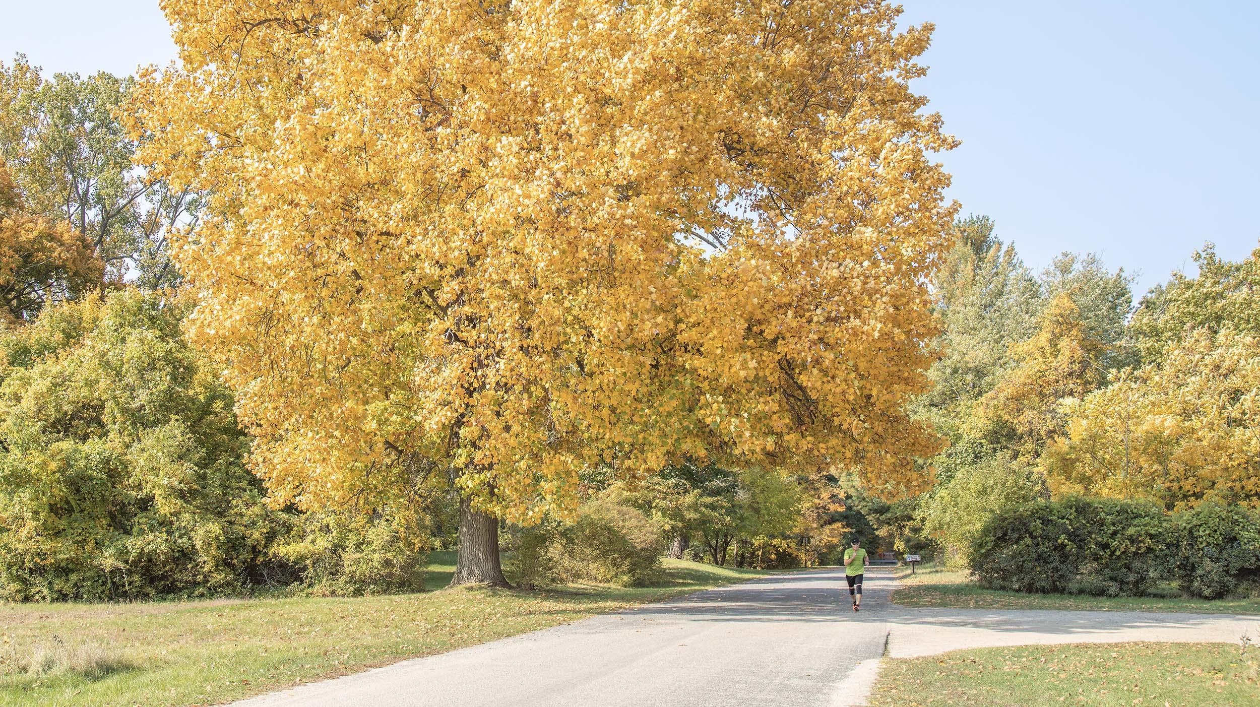 Home | Southwestern Michigan Tourist Council