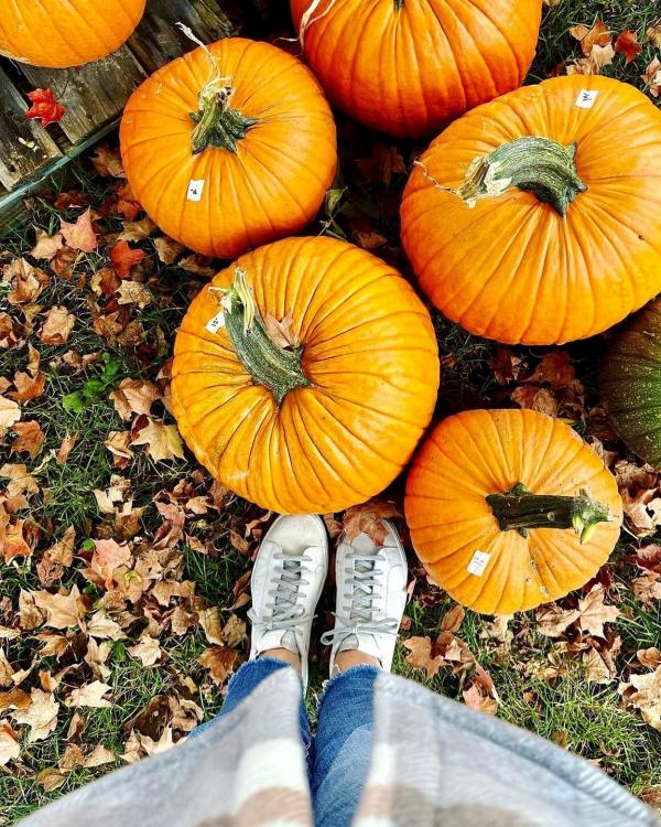 Home | Southwestern Michigan Tourist Council