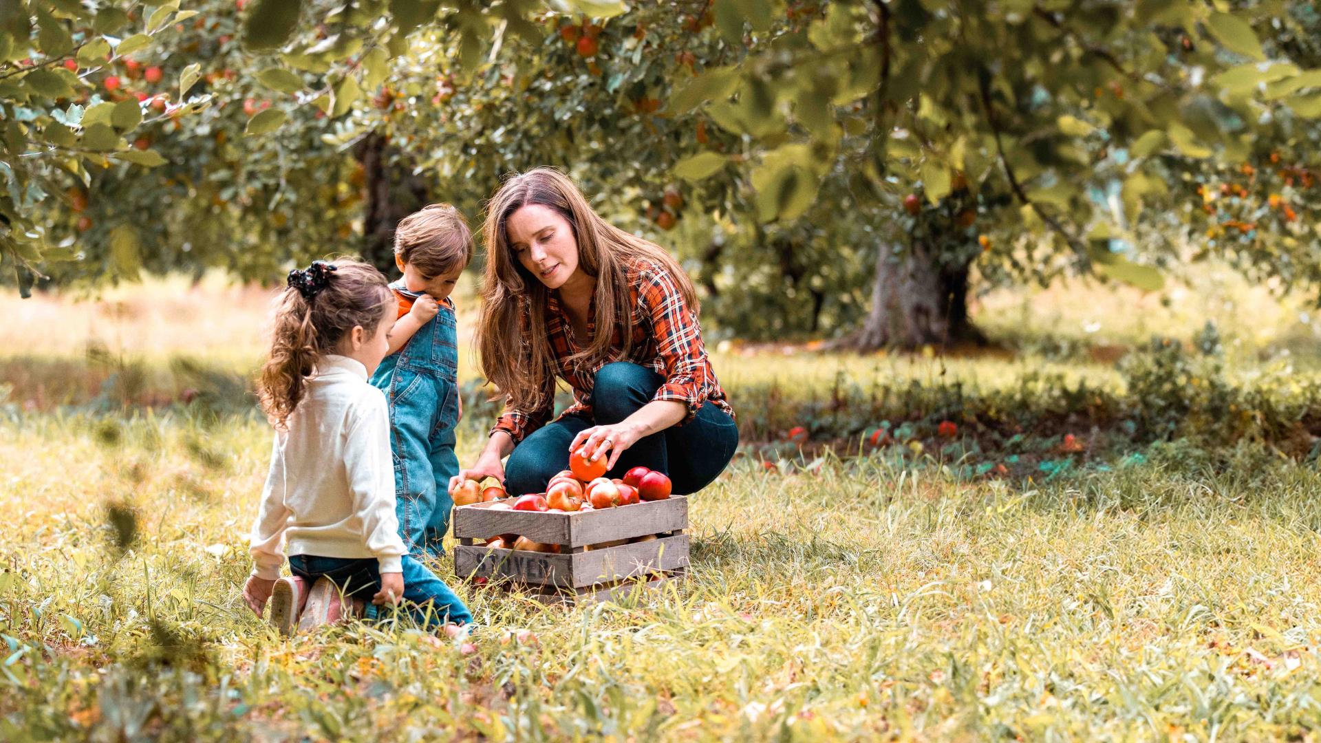 Bucket List Ideas for Fall Fun in Southwest Michigan | Visit Southwest ...