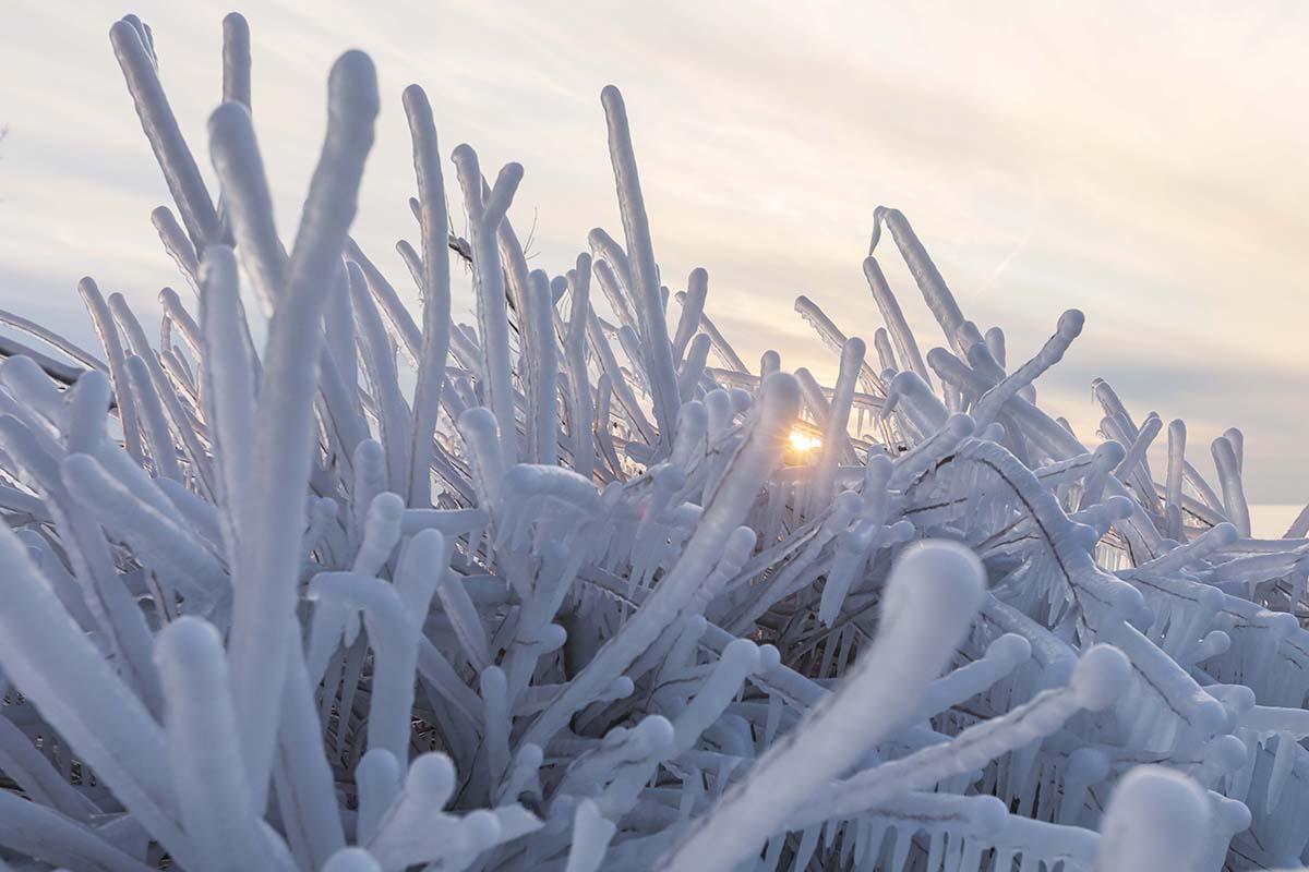 Michigan Winter Scenes Wallpaper Winter In Ann Arbor, Michigan: Photos
