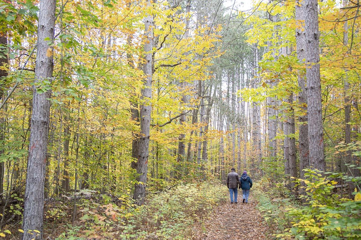 Southwest Michigan’s best fall hiking trails | Southwestern Michigan ...