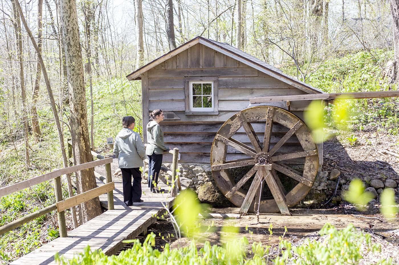 Best spring hikes in Southwest Michigan | Southwestern Michigan Tourist ...